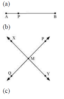 CBSE Class 6 Mathematics Practical Geometry Worksheet Set A